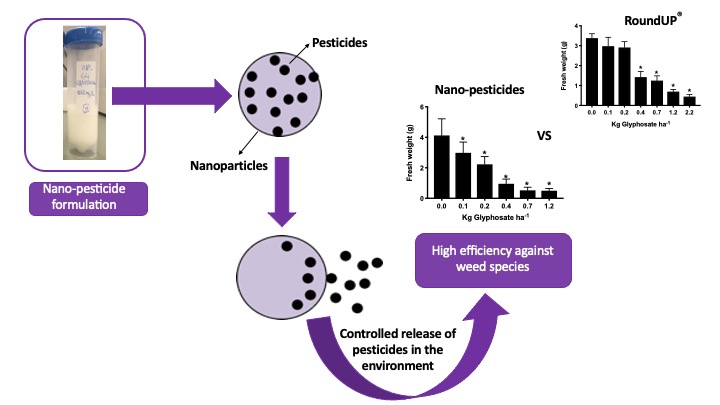 Hybrid nano-pesticide formulations | U.Porto Innovation